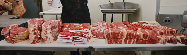 Understanding Beef Yield: A Guide to Bulk Beef Purchase and Processing